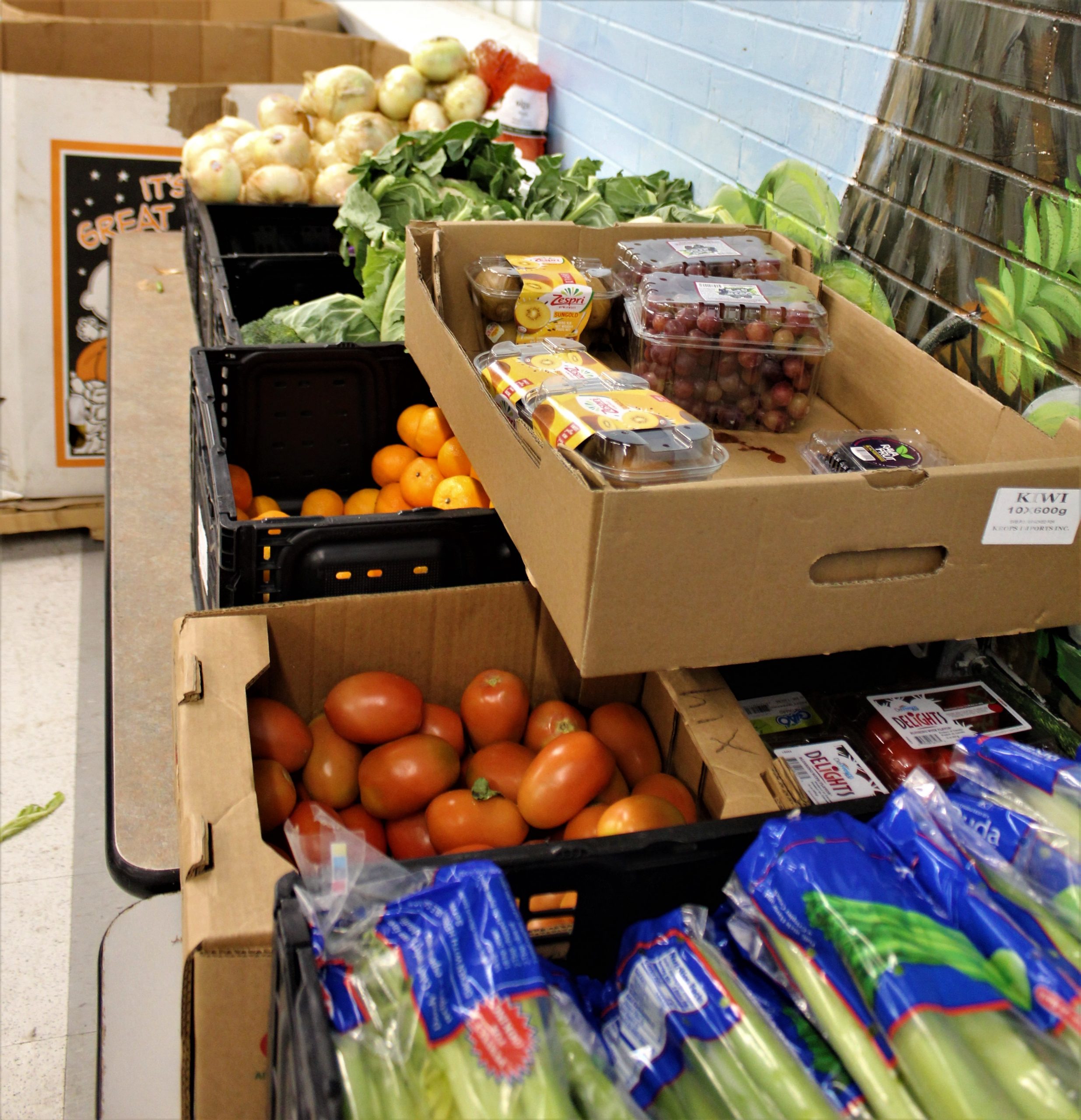 Food Insecurity in Hamilton - Mission Services of Hamilton